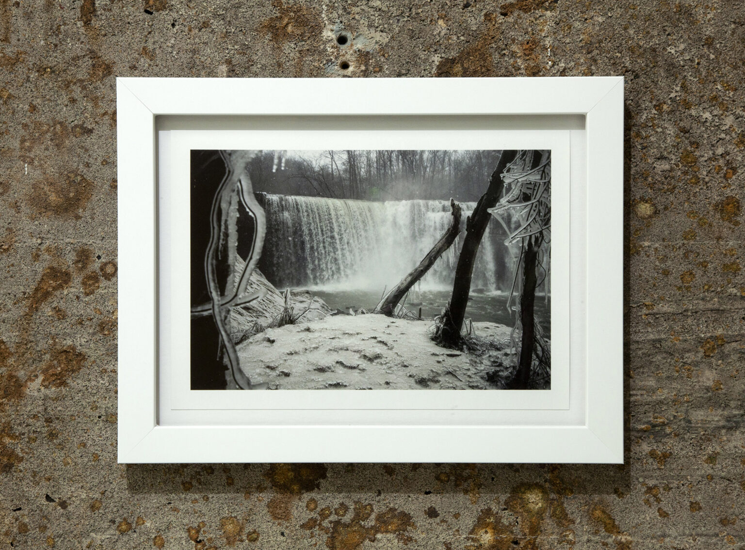 Dan Torop at Tops Gallery – Art Viewer