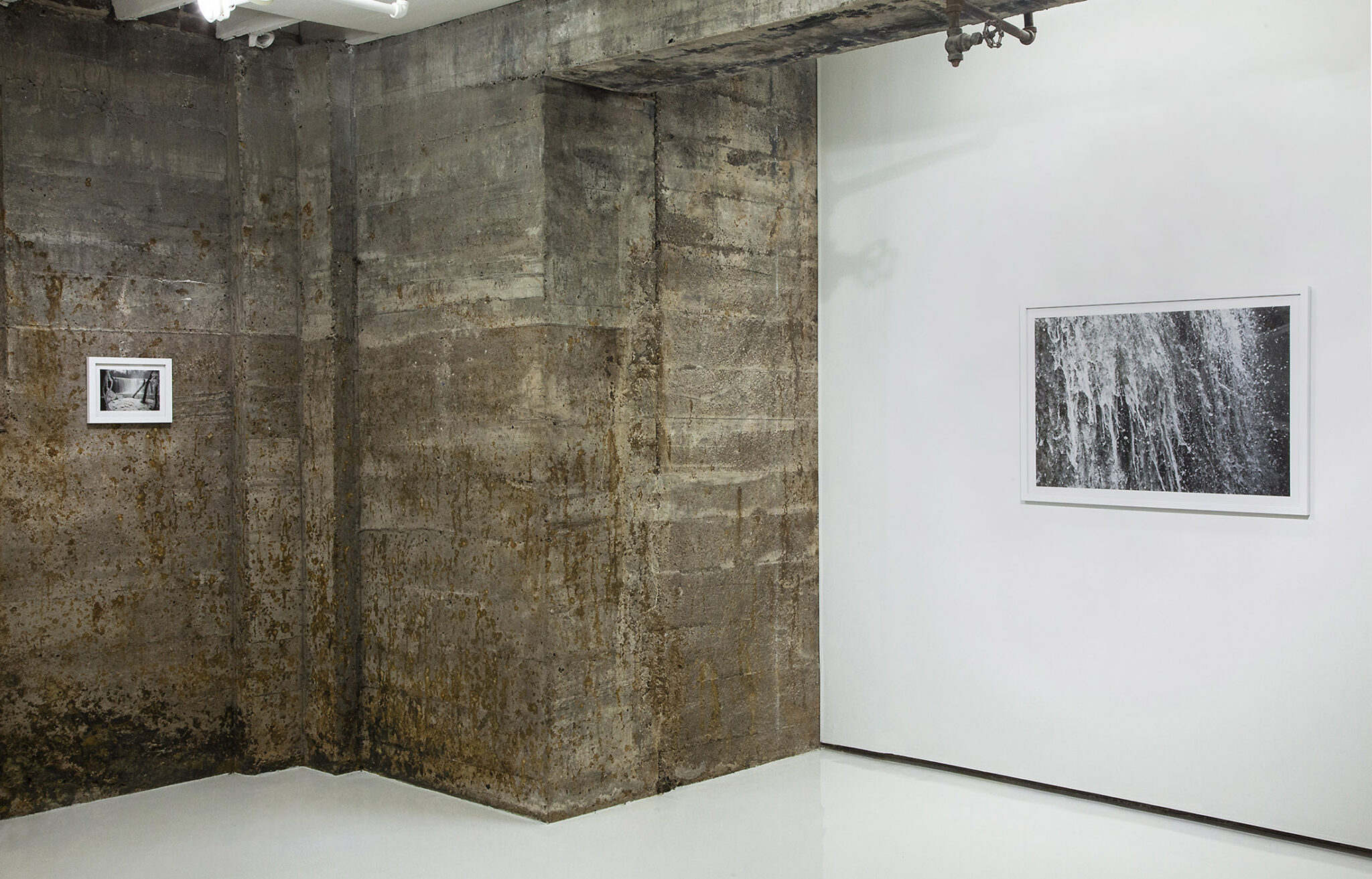 Dan Torop at Tops Gallery – Art Viewer