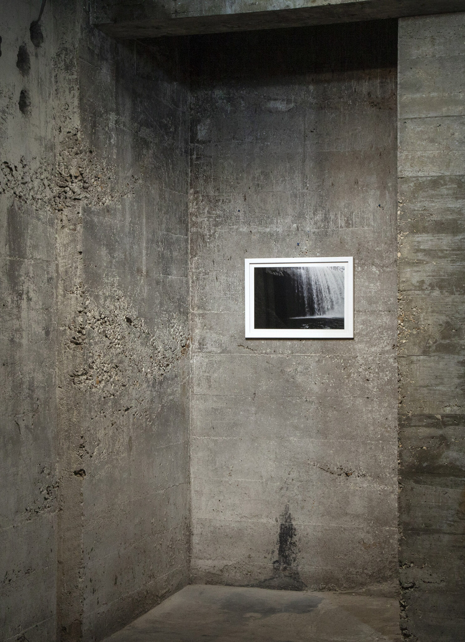 Dan Torop at Tops Gallery – Art Viewer