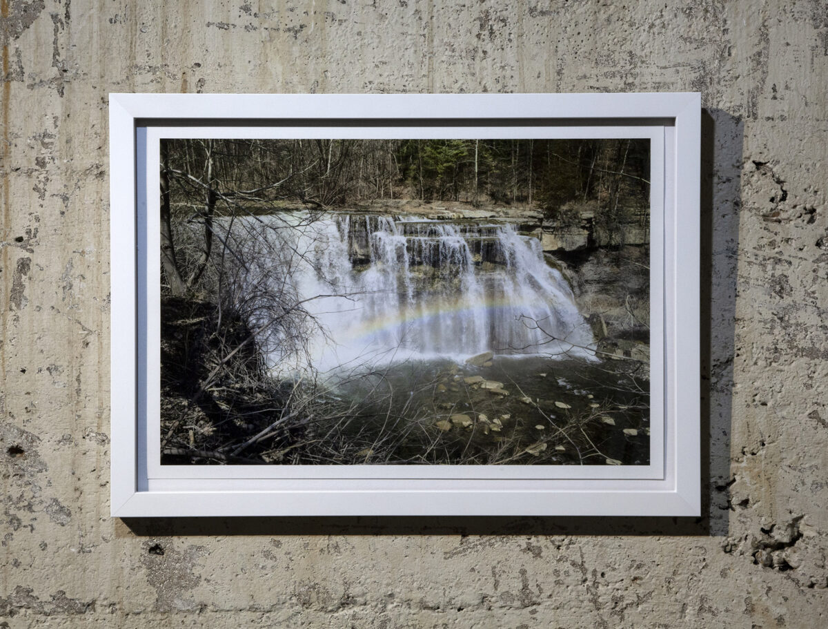 Dan Torop at Tops Gallery – Art Viewer