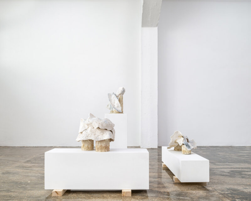 Elisa Braem at Galería Fermay – Art Viewer