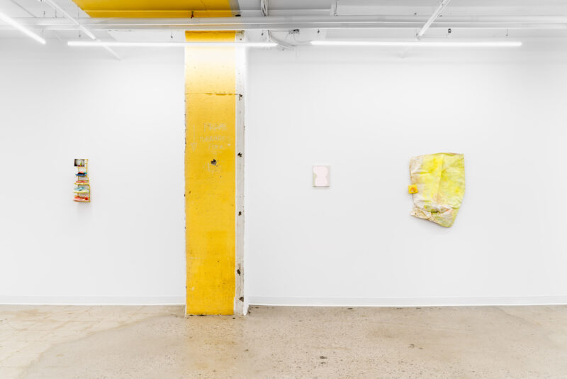 Jeanie Riddle at TAP Art Space – Art Viewer