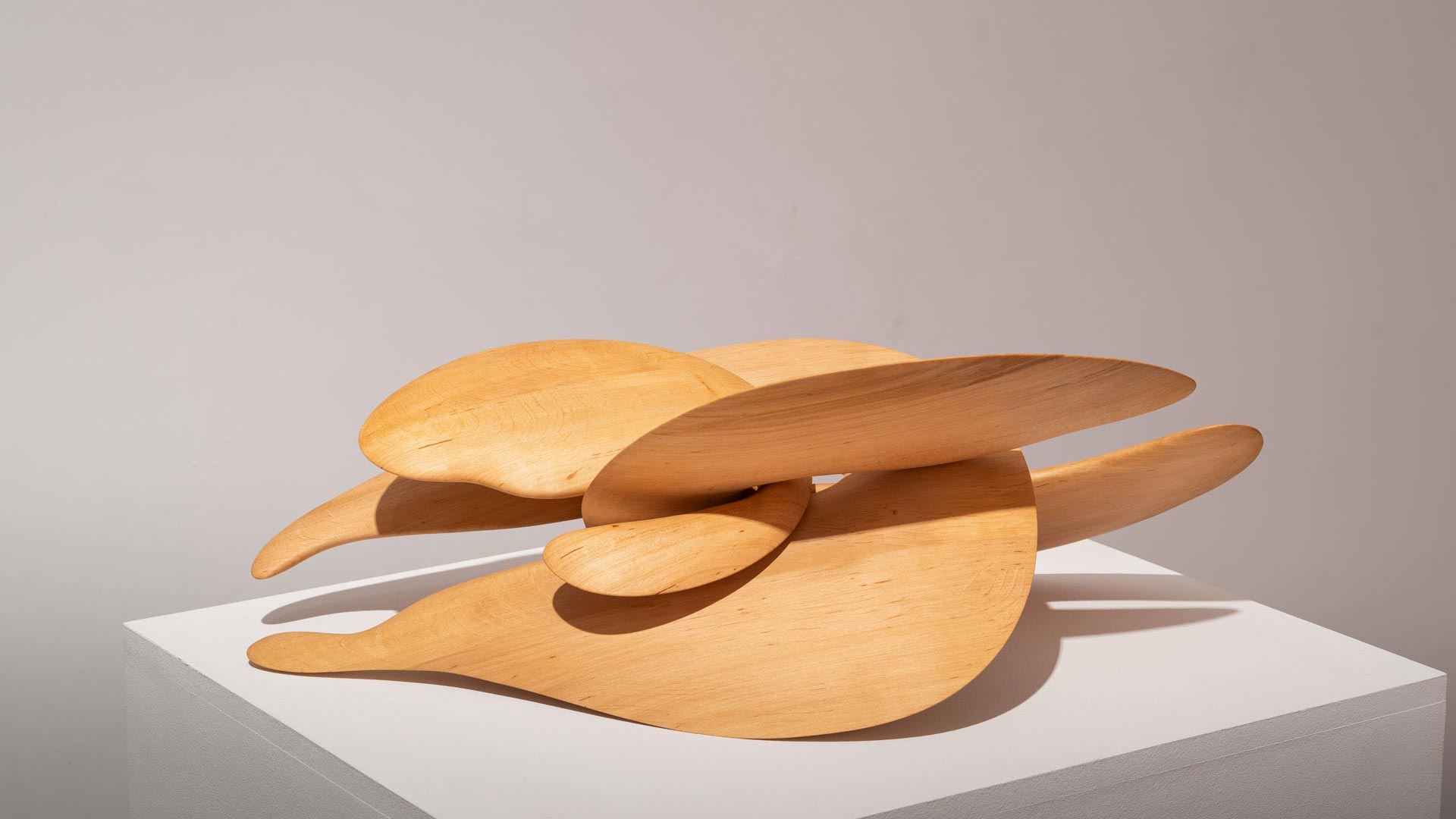 Jorinde Voigt at Galería Pelaires – Art Viewer