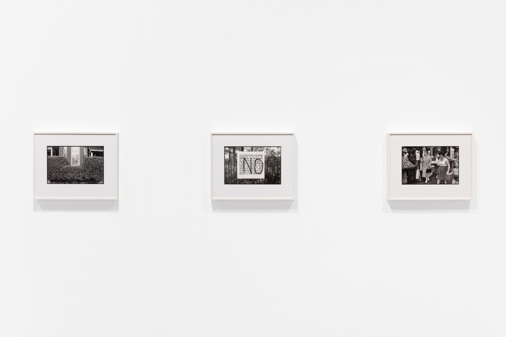 June Clark at Daniel Faria Gallery – Art Viewer