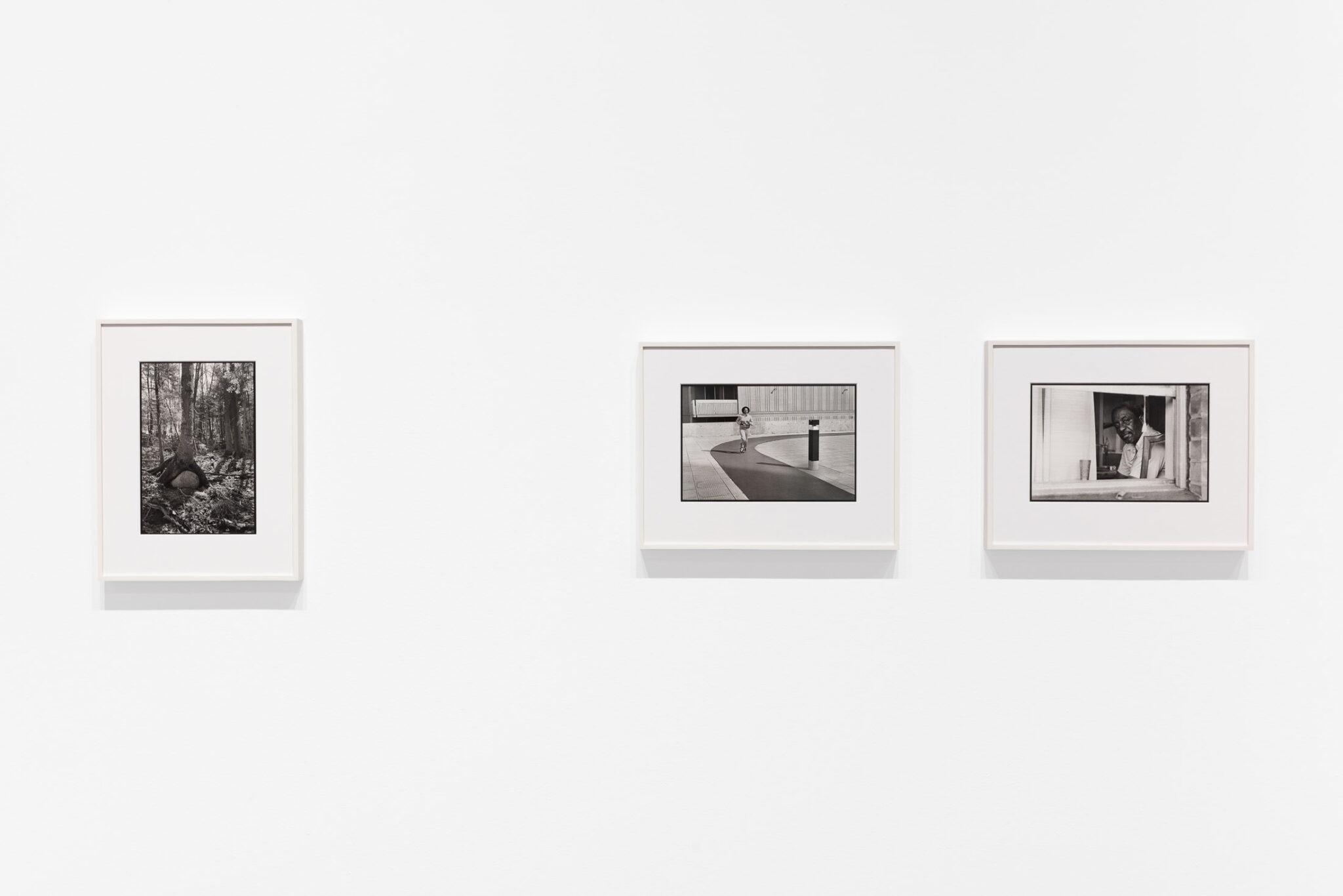 June Clark at Daniel Faria Gallery – Art Viewer