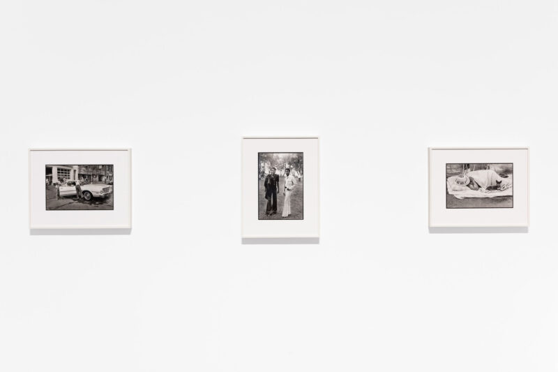 June Clark at Daniel Faria Gallery – Art Viewer