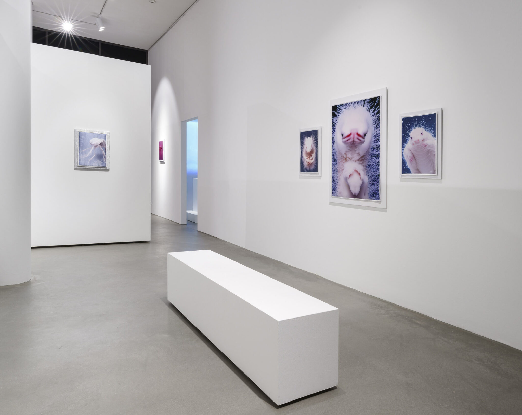 Mary-Audrey Ramirez at Kunsthalle Giessen – Art Viewer