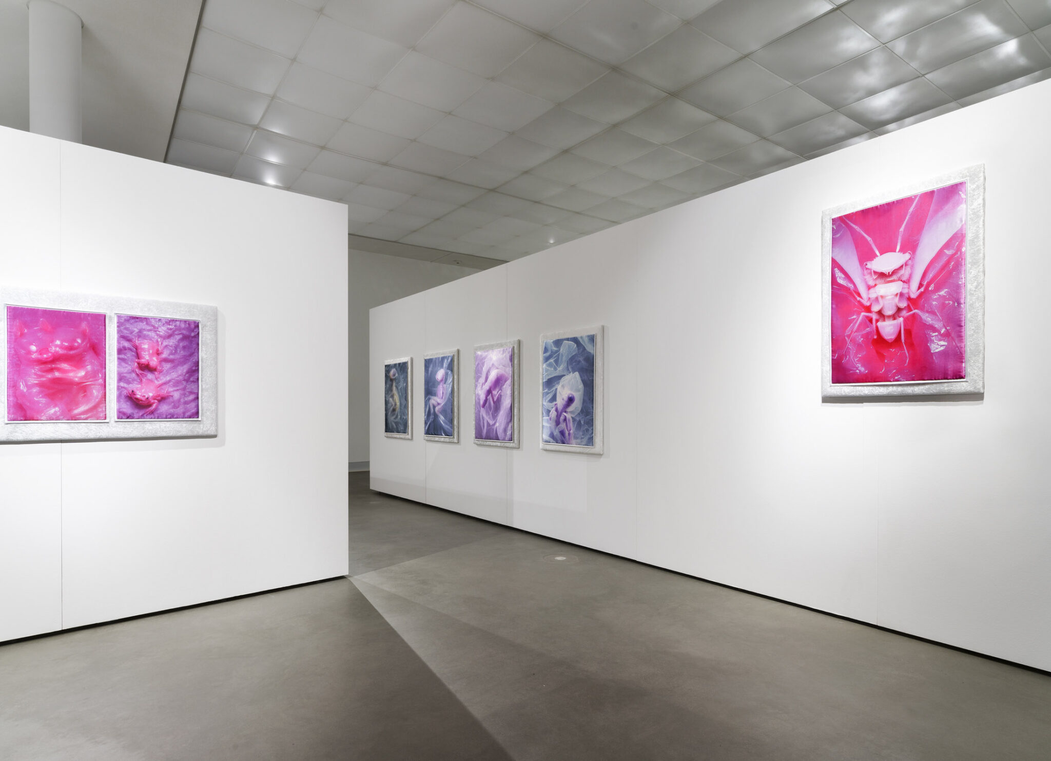 Mary-Audrey Ramirez at Kunsthalle Giessen – Art Viewer