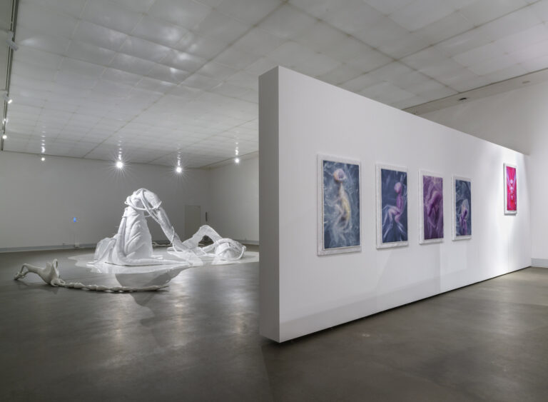 Mary-Audrey Ramirez at Kunsthalle Giessen – Art Viewer