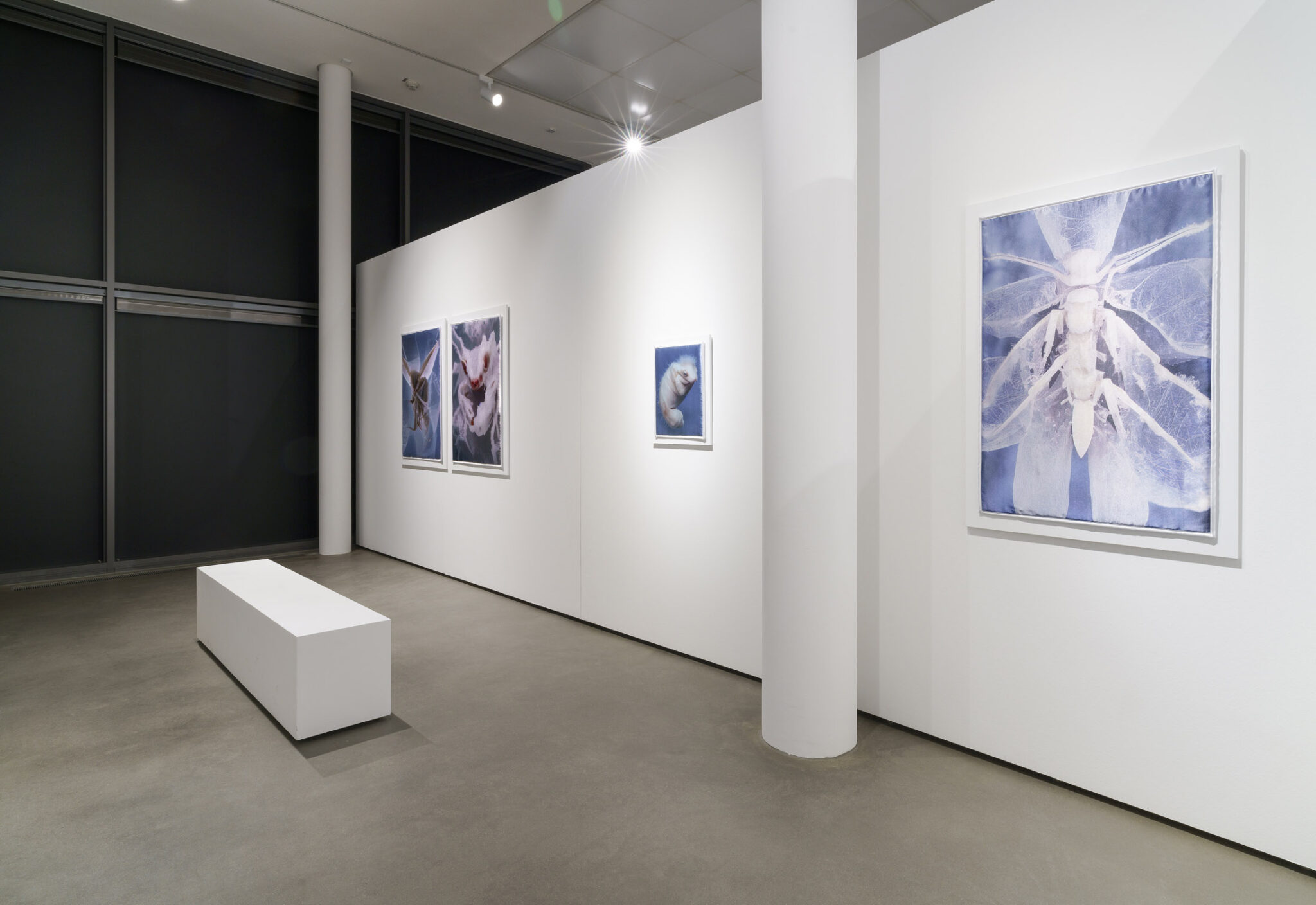 Mary-Audrey Ramirez at Kunsthalle Giessen – Art Viewer