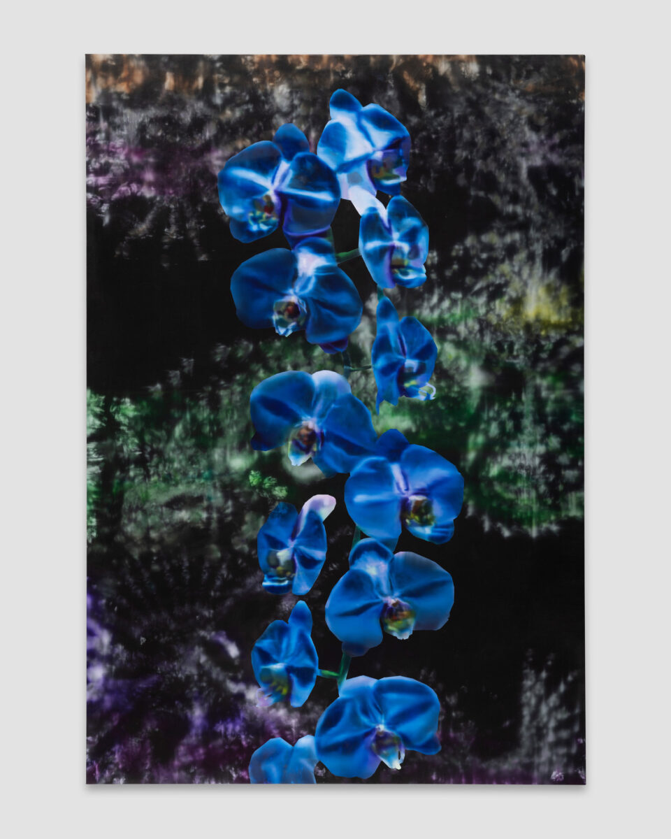 Rute Merk at Tara Downs – Art Viewer