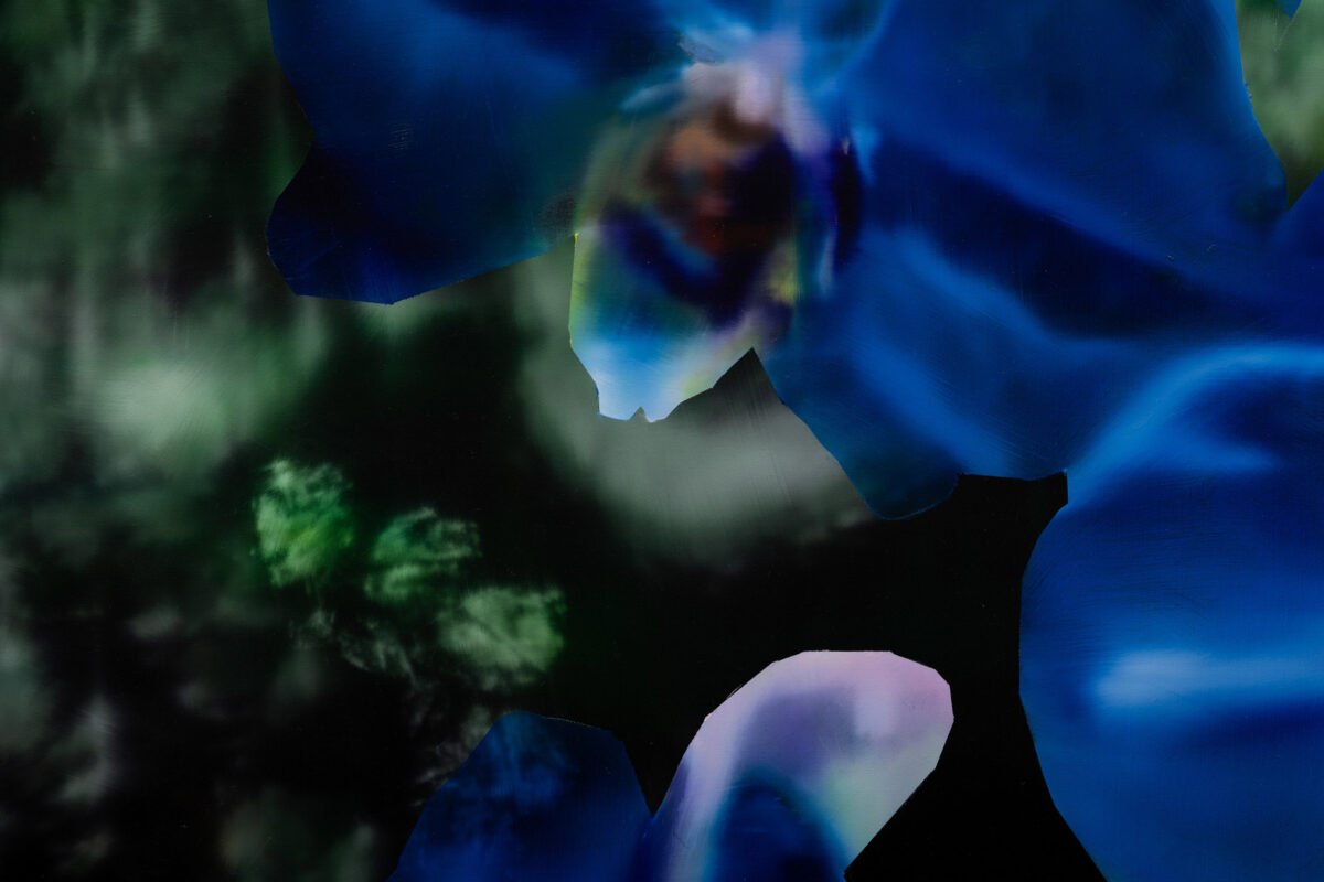 Rute Merk at Tara Downs – Art Viewer