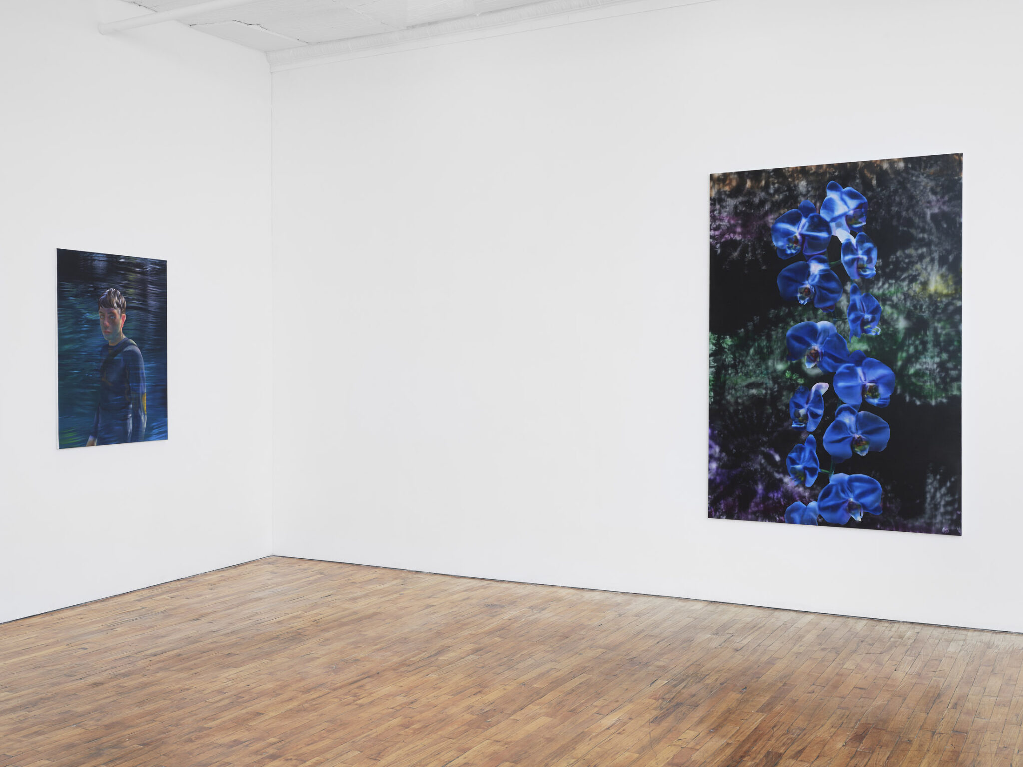 Rute Merk at Tara Downs – Art Viewer