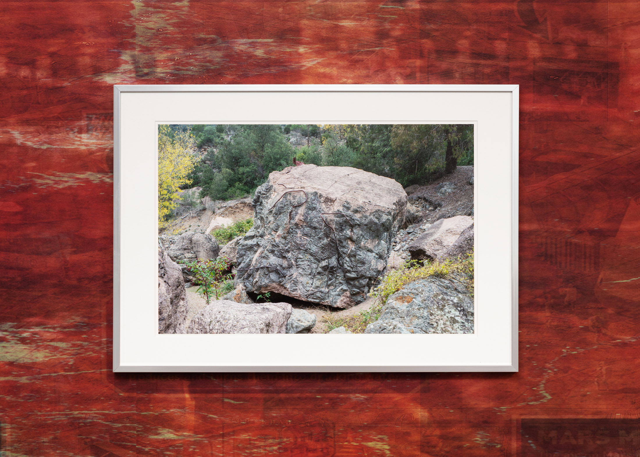 Simon Shim-Sutcliffe – Art Viewer