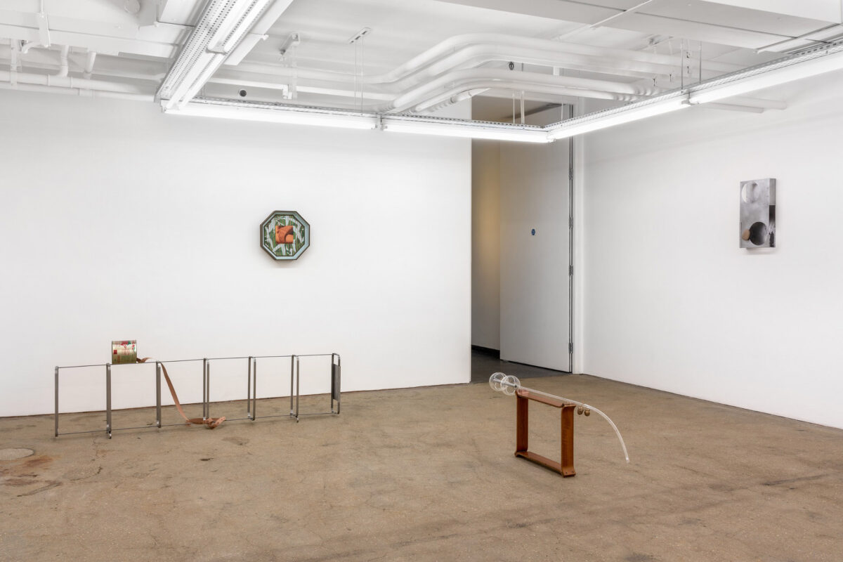 Steph Huang at Public Gallery – Art Viewer