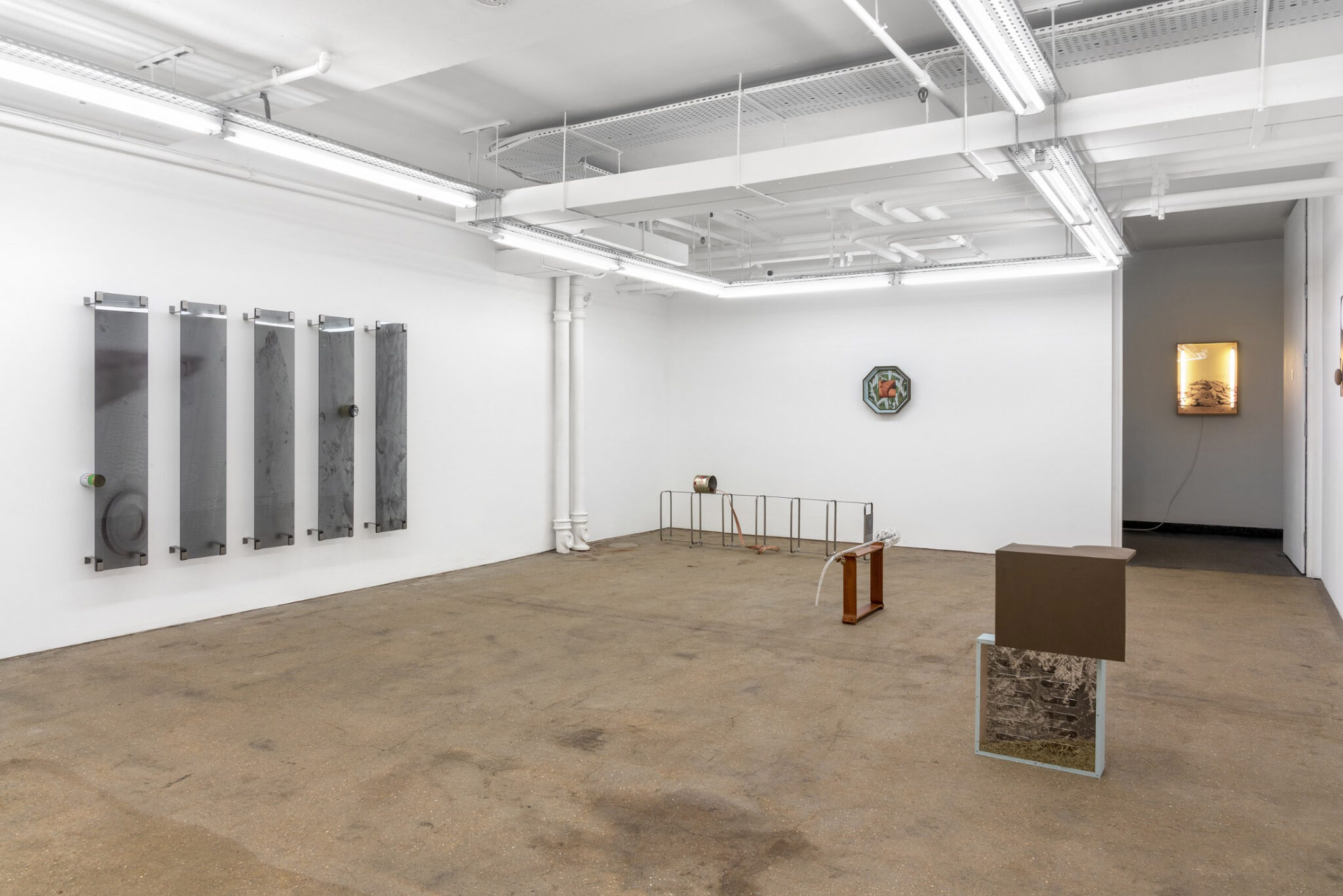 Steph Huang at Public Gallery – Art Viewer