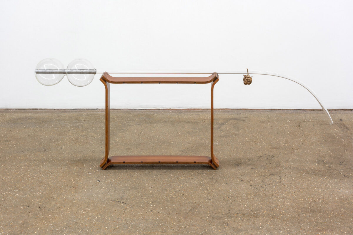 Steph Huang – Art Viewer