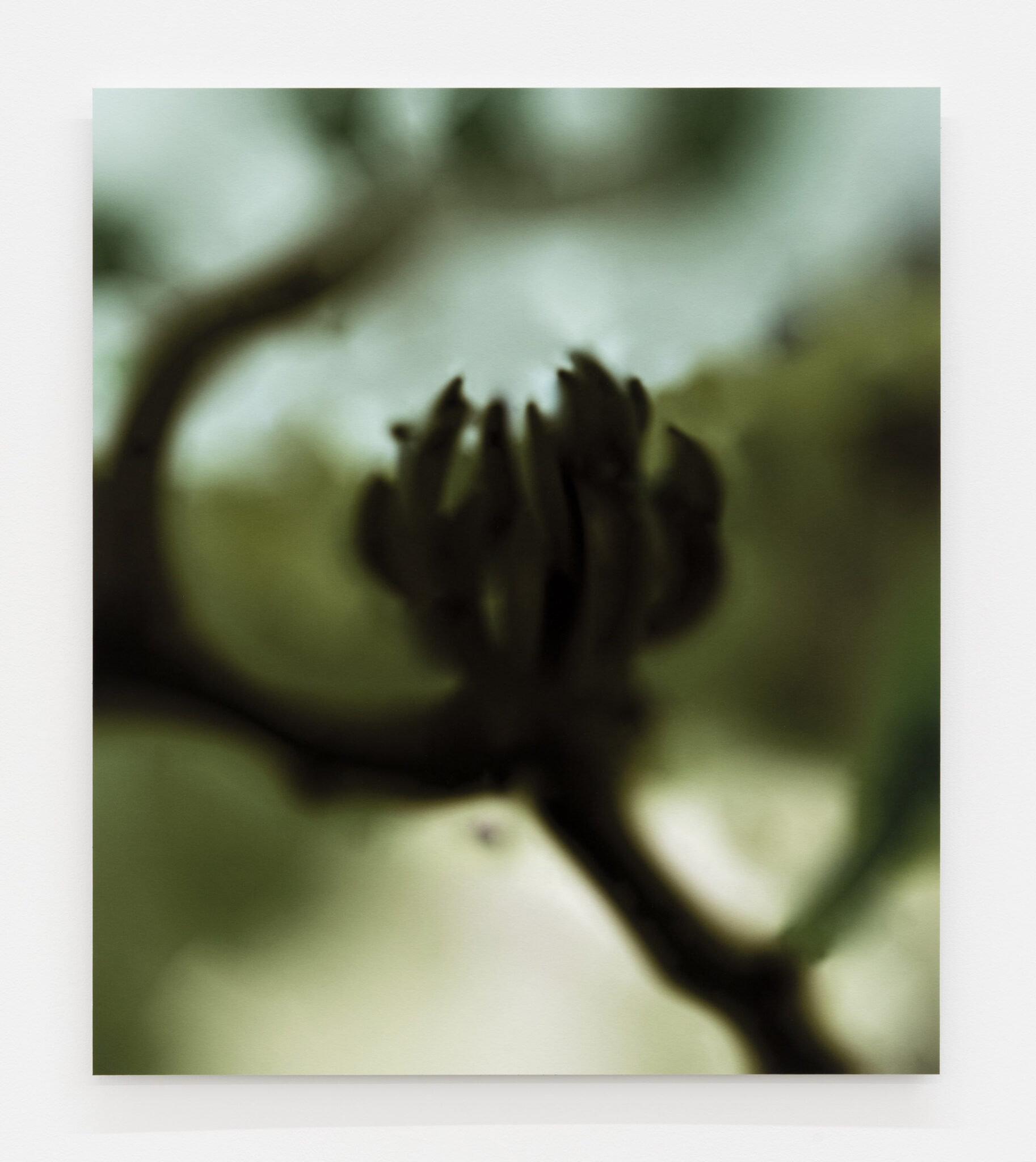 Chantal Khoury and José Andrés Mora at TAP Art Space – Art Viewer