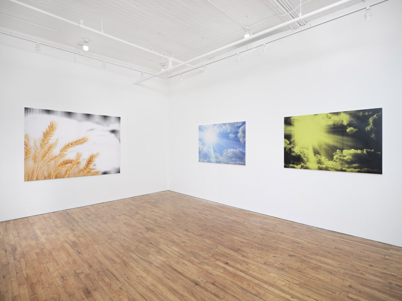 Deanna Havas at Tara Downs – Art Viewer