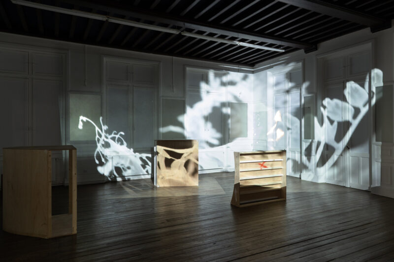 Douna Lim & Théo Pesso at Café des Glaces – Art Viewer