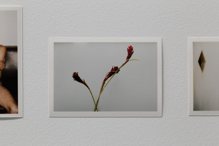 Leandro Feal at CIBRIÁN – Art Viewer