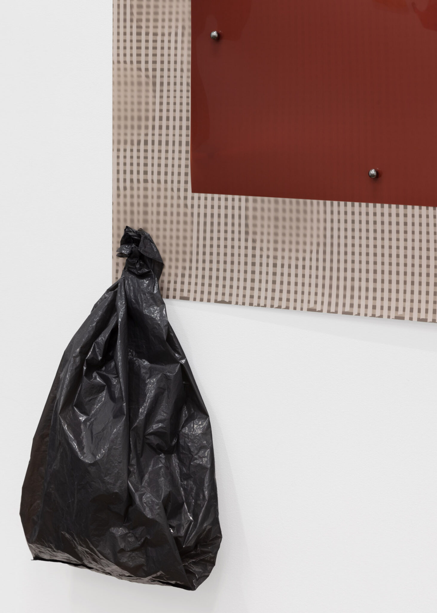 Lotus Laurie Kang at Franz Kaka – Art Viewer