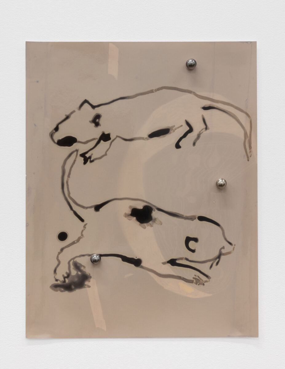 Lotus Laurie Kang at Franz Kaka – Art Viewer