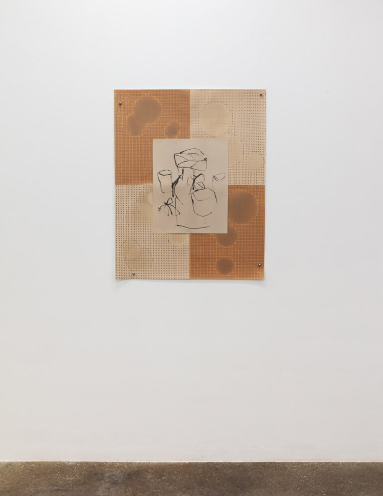 Lotus Laurie Kang at Franz Kaka – Art Viewer