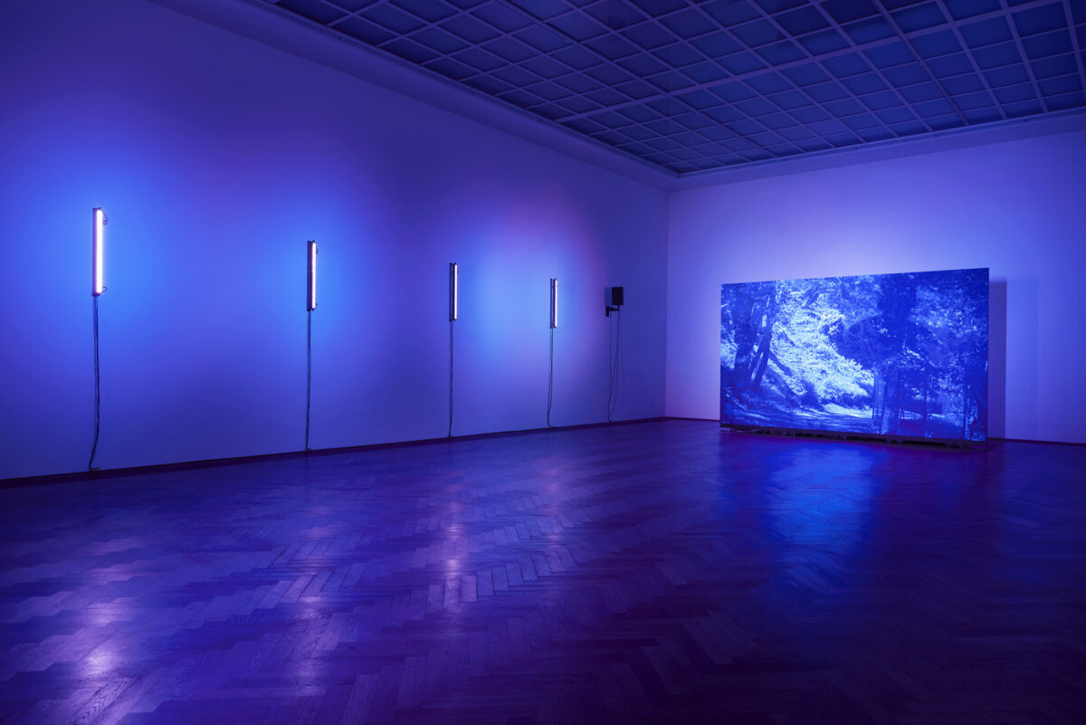P. Staff at Kunsthalle Basel – Art Viewer