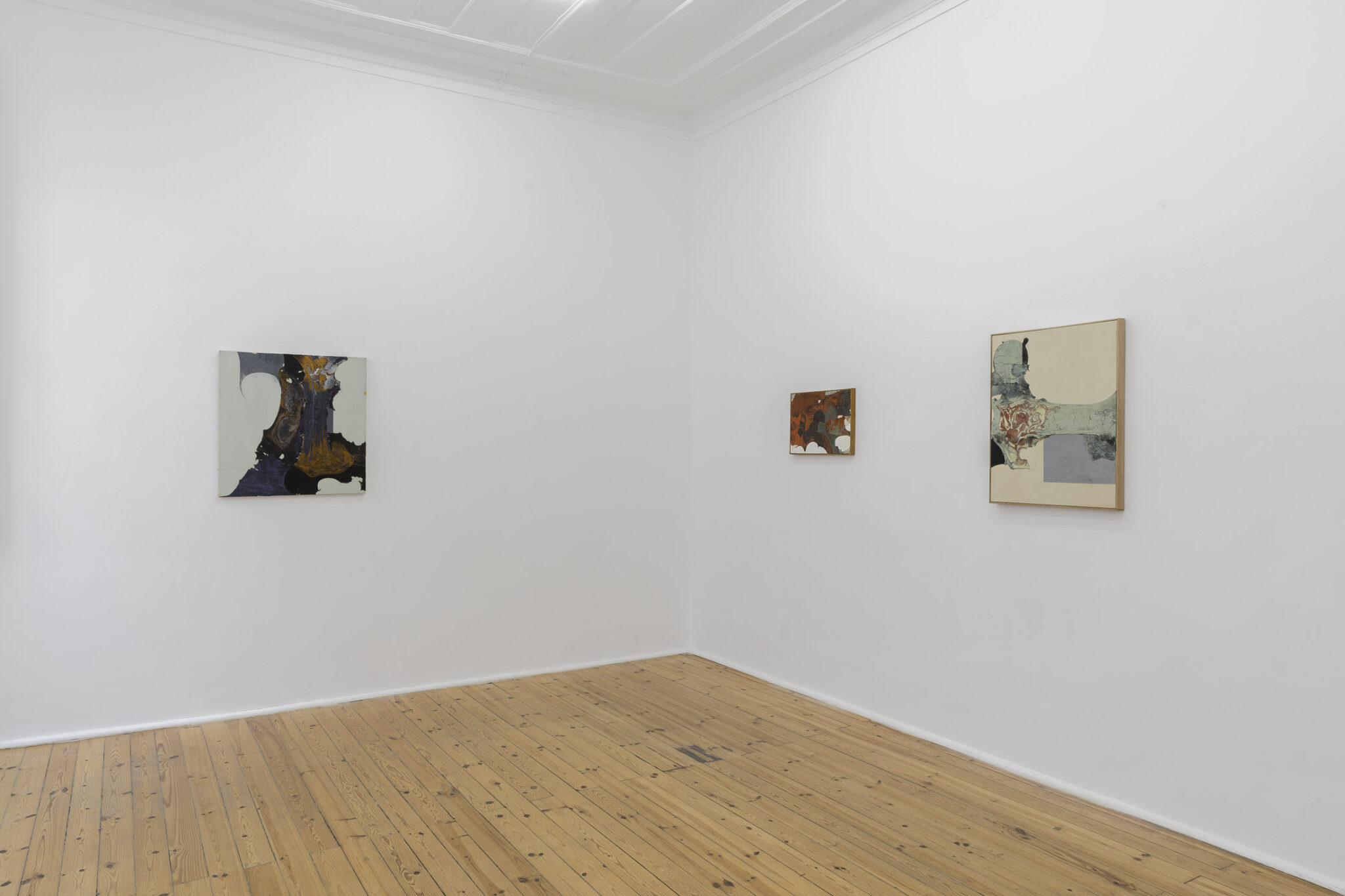 Tali Levi at ADZ Gallery – Art Viewer