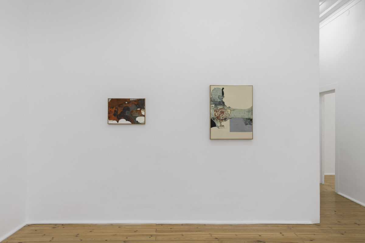 Tali Levi at ADZ Gallery – Art Viewer