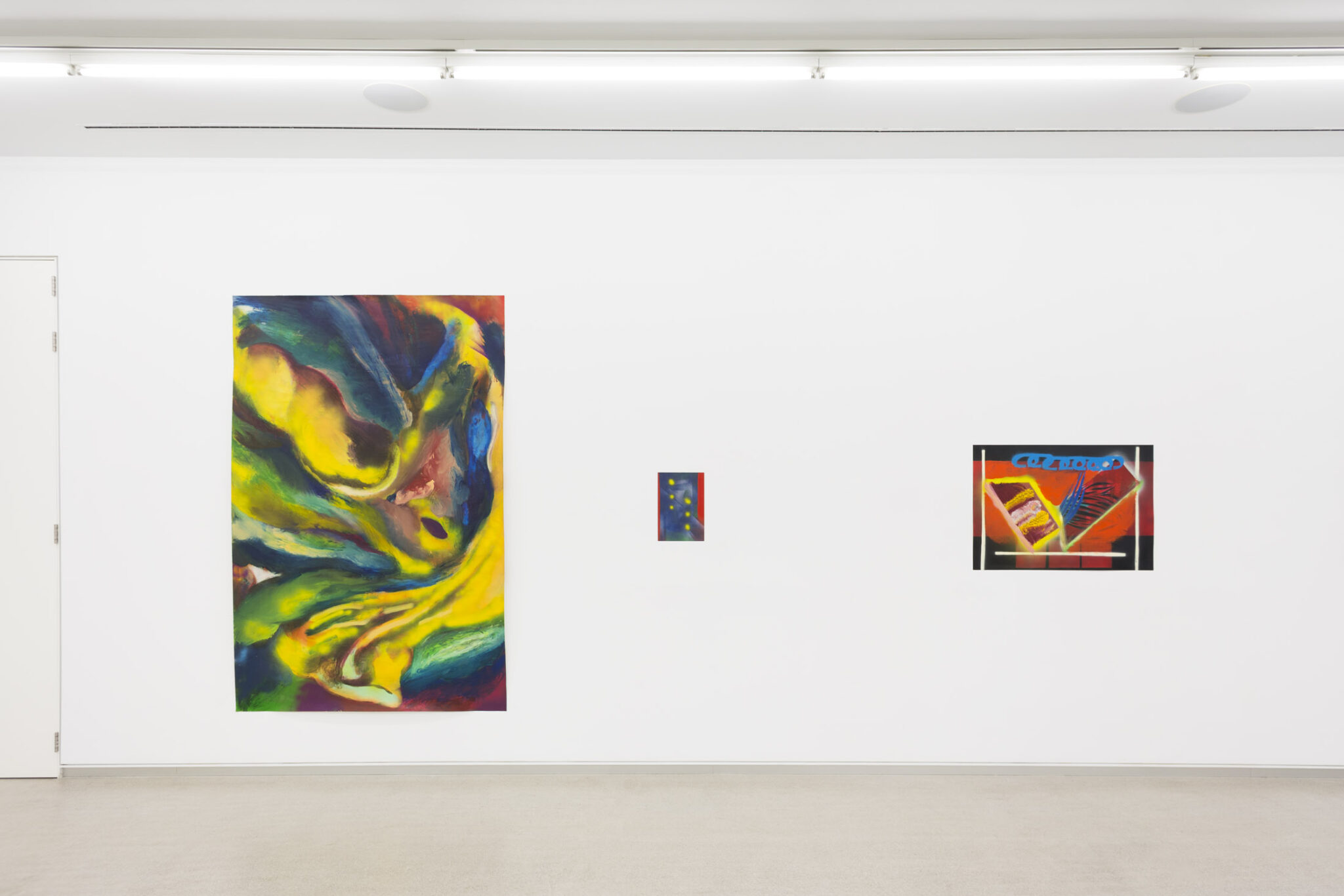 Taxio Ardanaz at CarrerasMugica – Art Viewer