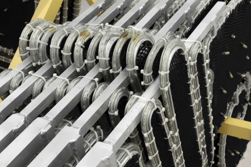 Judith Kakon at For – Art Viewer