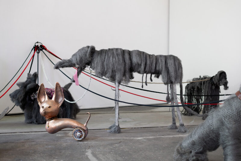 Camille Henrot at Kunstmuseum St. Gallen – Art Viewer