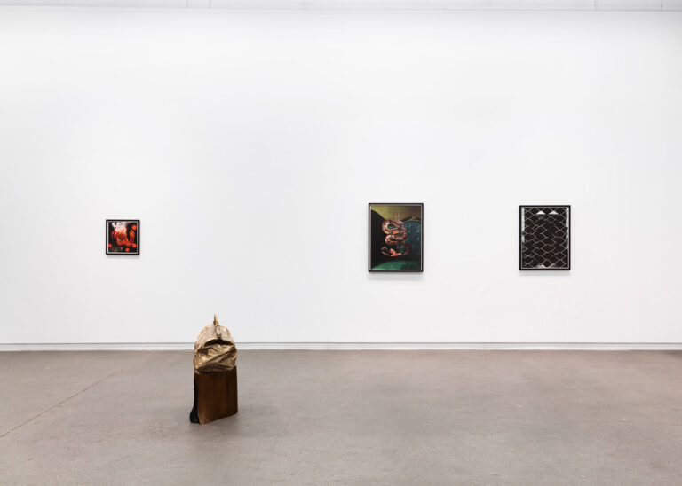 Elizabeth Zvonar at Daniel Faria Gallery – Art Viewer