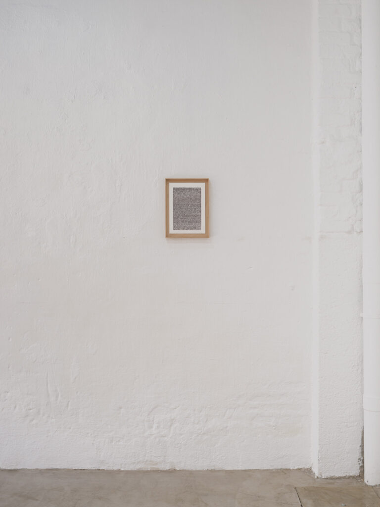 Jaime Pitarch at The Ryder – Art Viewer