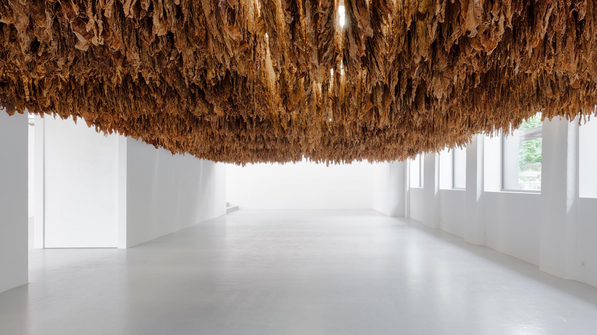 Ximena Garrido-Lecca at CAN Centre d’Art Neuchâtel – Art Viewer