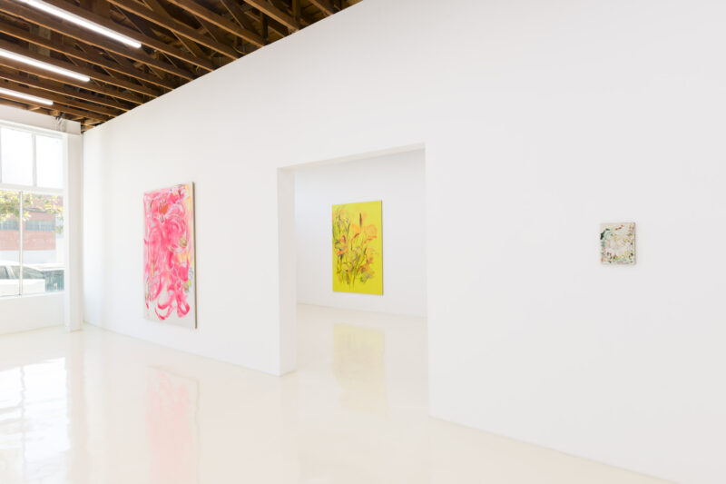 Laura Larraz at Chris Sharp Gallery – Art Viewer