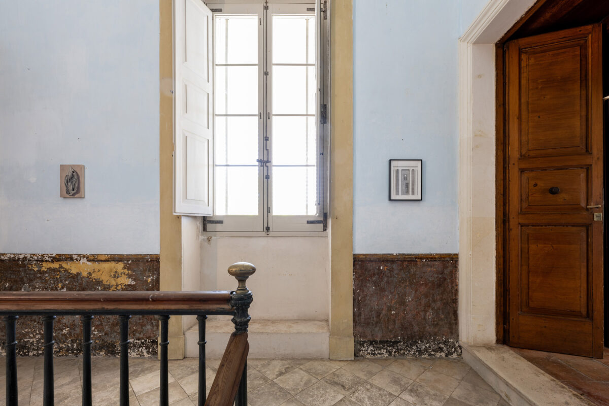 Palai at Palazzo Tamborino Cezzi – Art Viewer