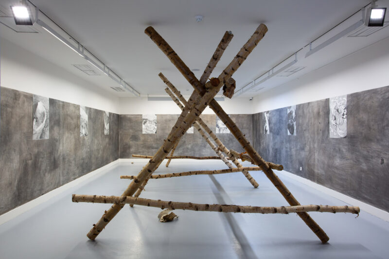 Tom Hallet at M HKA – Art Viewer