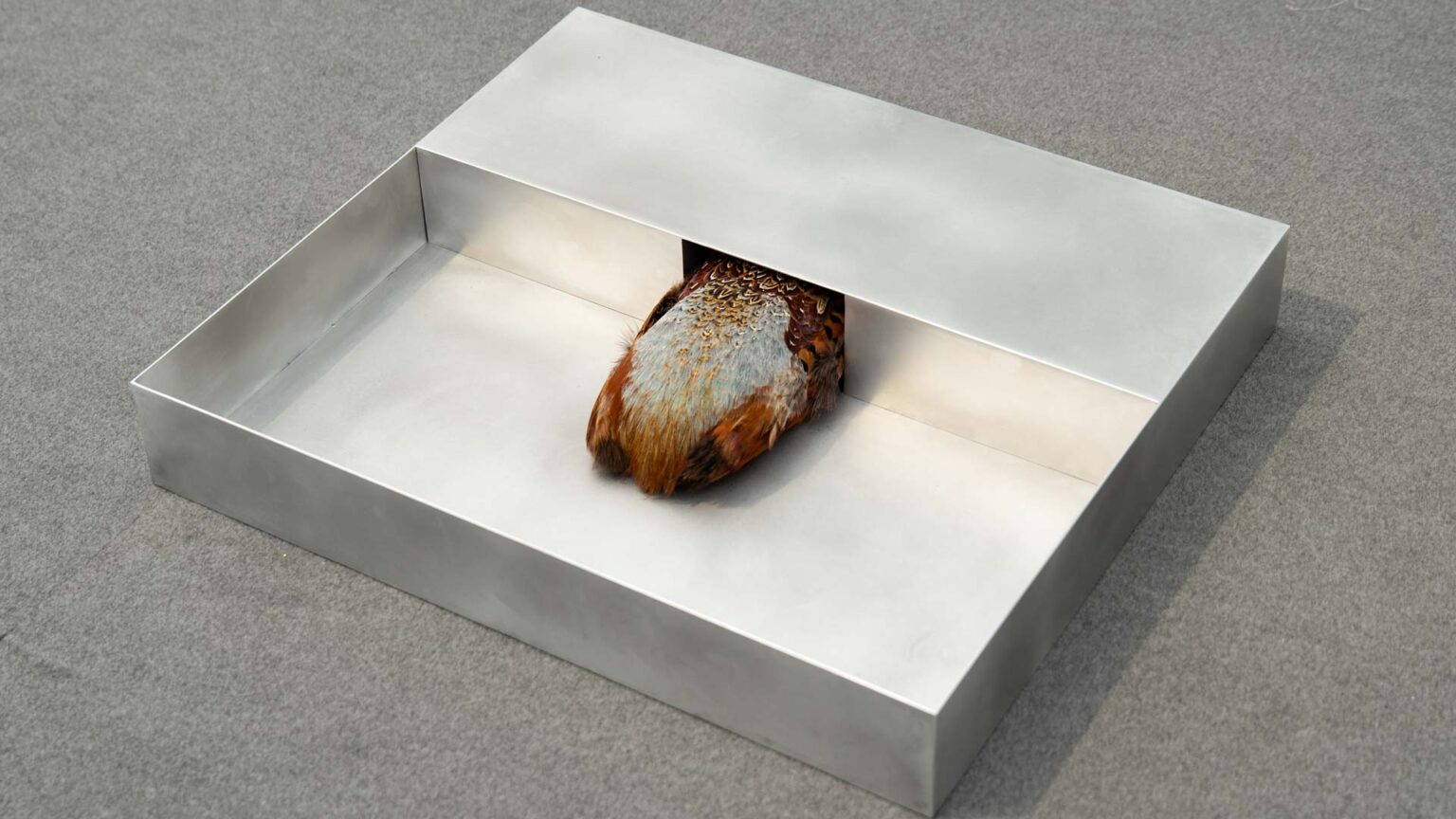 Fairs – Art Viewer