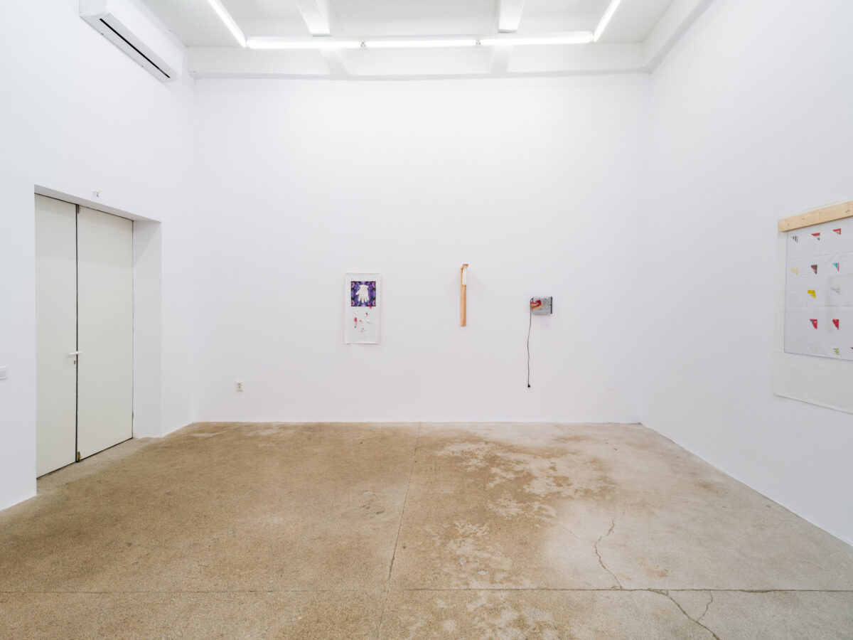 Pepo Salazar at SABOT – Art Viewer