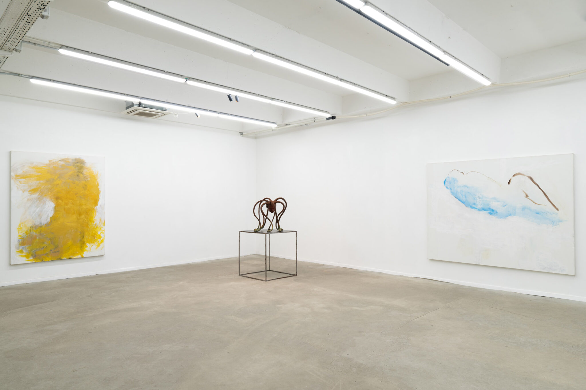 Sigalit Landau and Yudith Levin at Dvir Gallery – Art Viewer