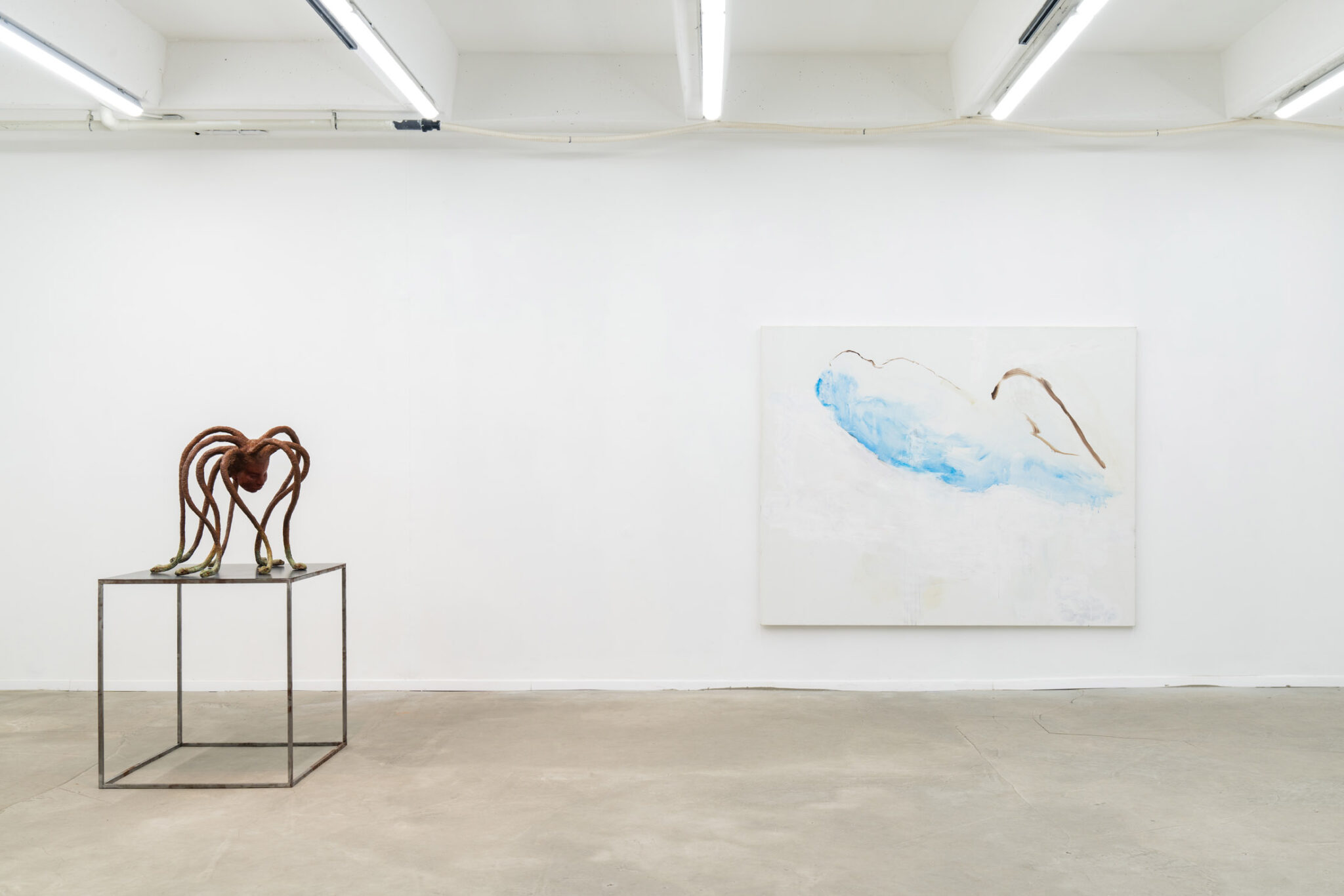 Sigalit Landau and Yudith Levin at Dvir Gallery – Art Viewer