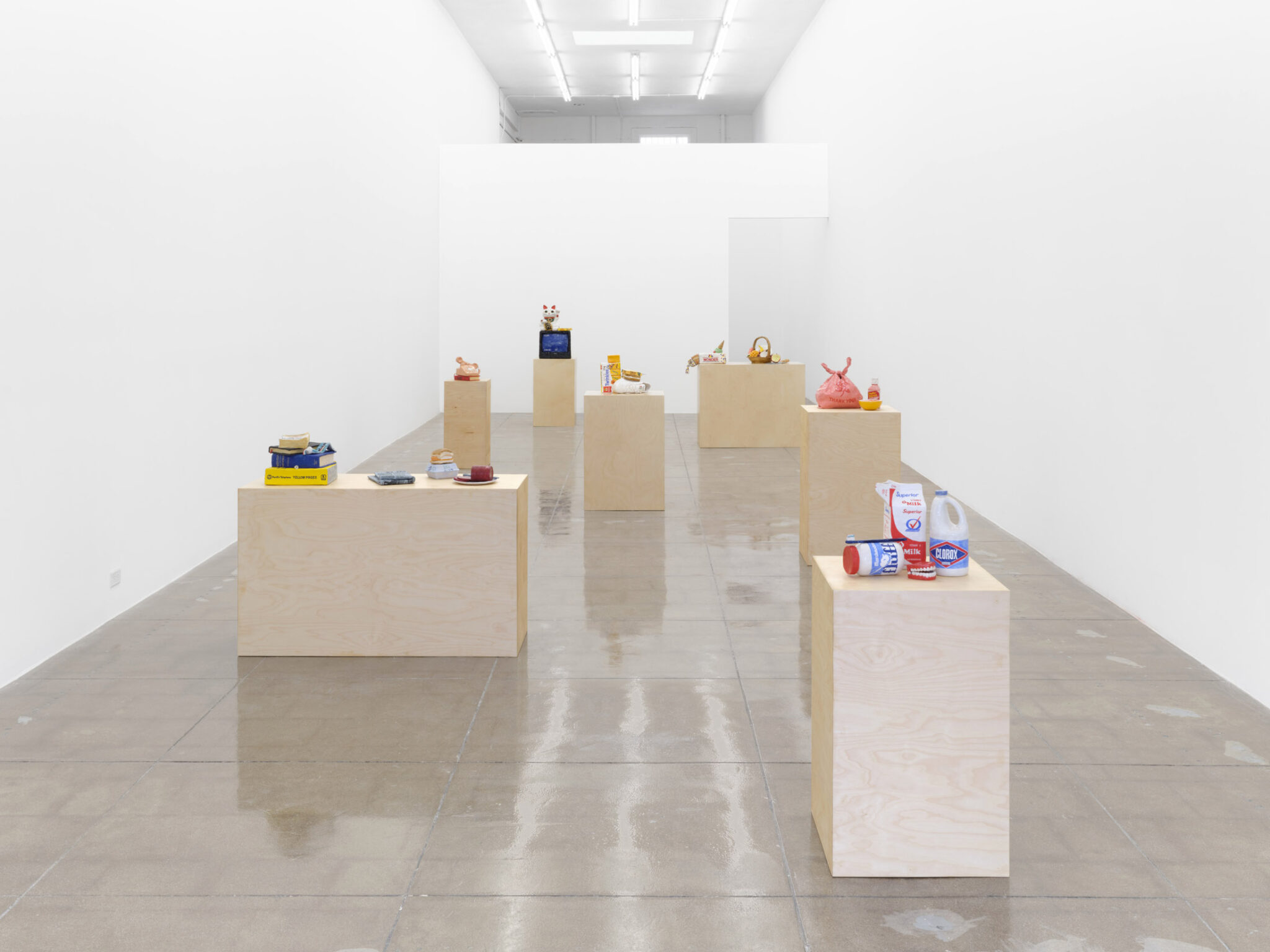 Stephanie H. Shih at Harkawik – Art Viewer