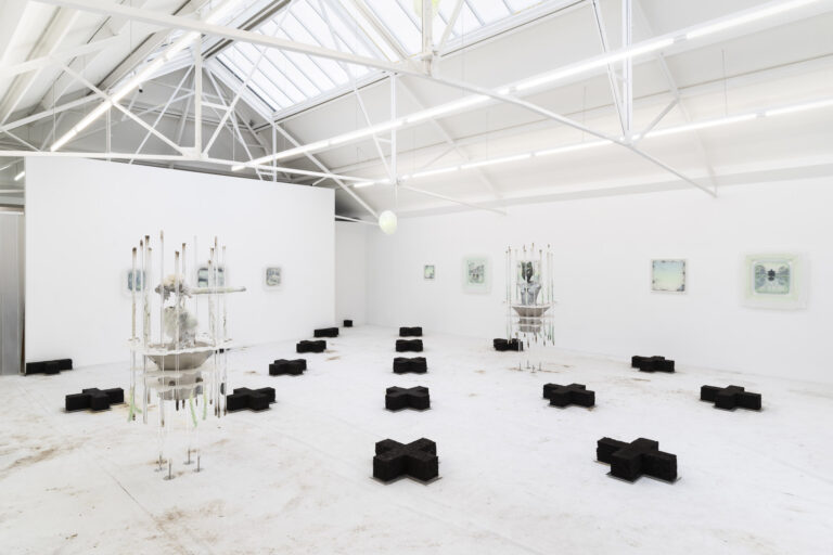 Adriano Amaral at Galerie Fons Welters – Art Viewer