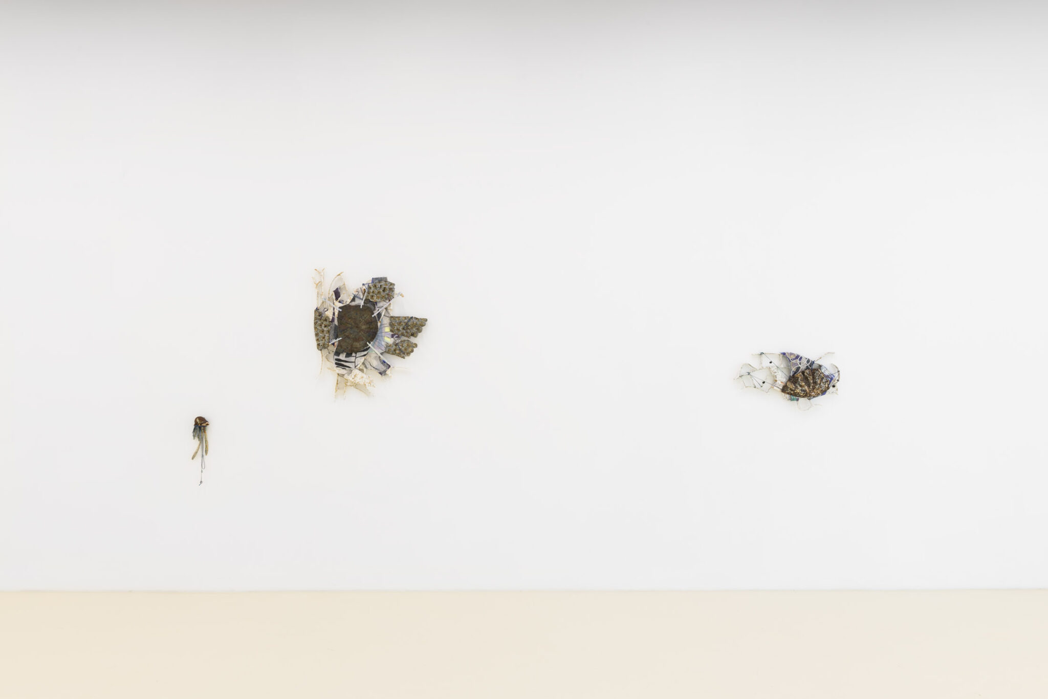 Isabel Nuño de Buen at Chris Sharp Gallery – Art Viewer