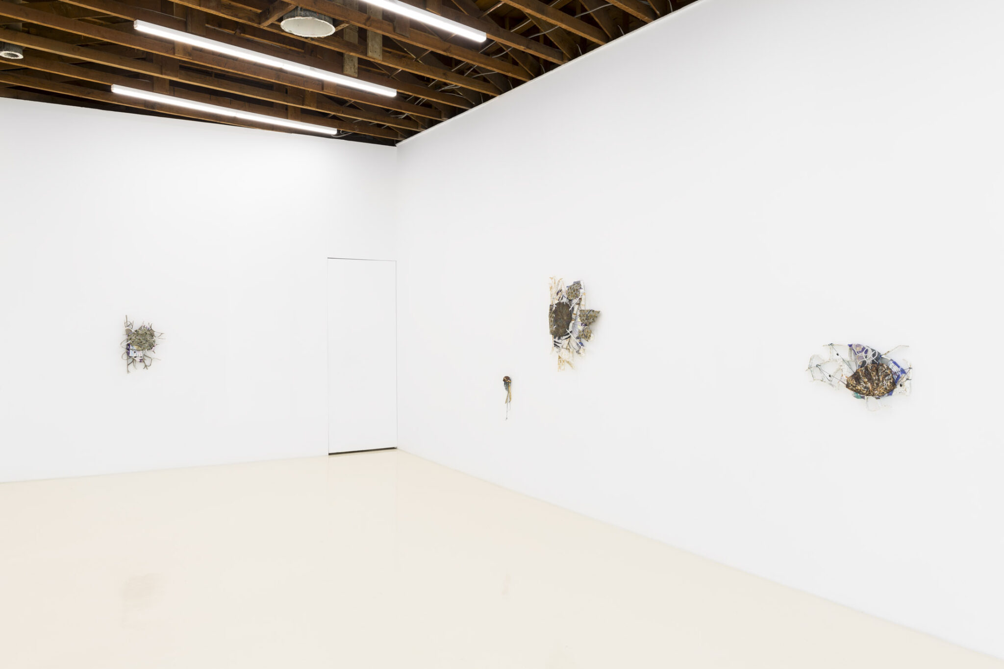 Isabel Nuño de Buen at Chris Sharp Gallery – Art Viewer