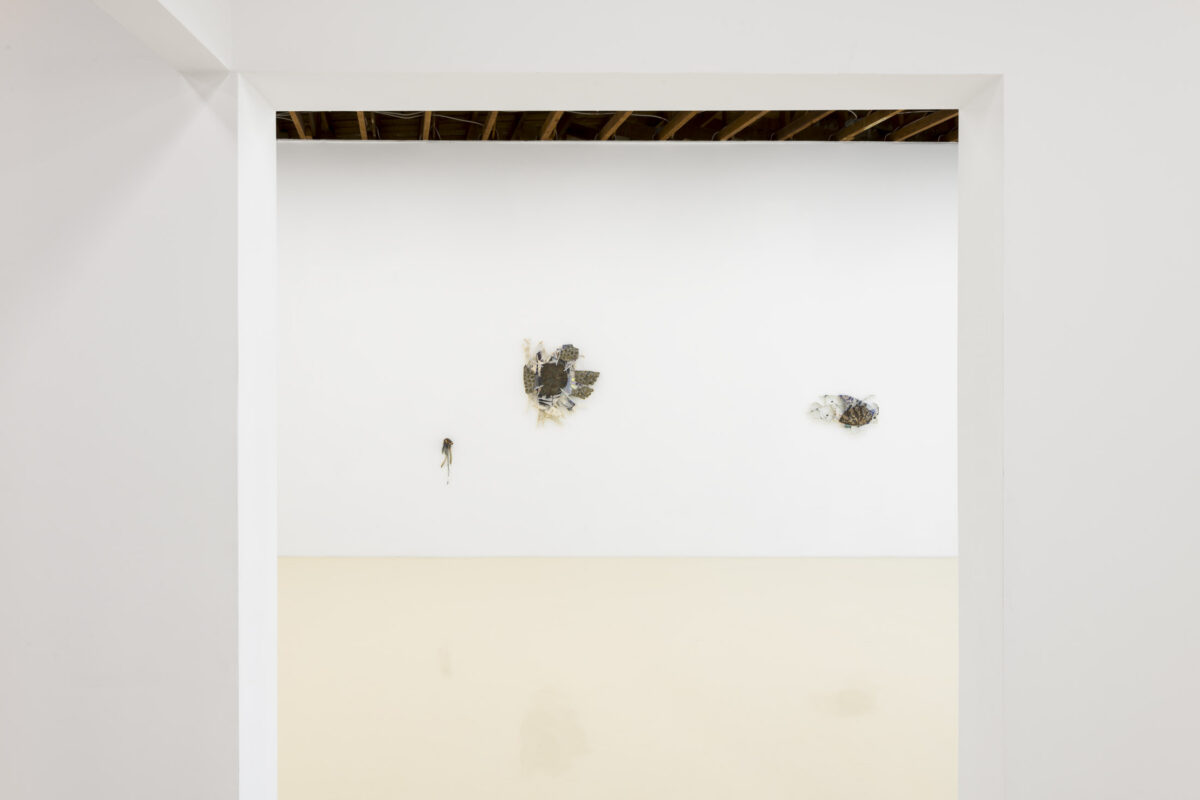 Isabel Nuño de Buen at Chris Sharp Gallery – Art Viewer