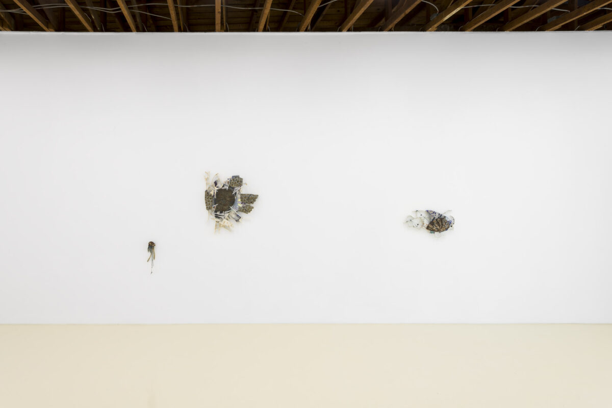 Isabel Nuño de Buen at Chris Sharp Gallery – Art Viewer